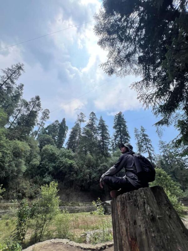 Mexico City: Hiking tour to the Desert of the Lions - The Sum Up