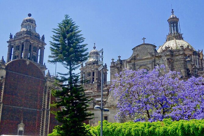 Mexico City History Tour with a Local Expert: 100% Personalized & Private - An In-Depth Look at the Mexico City History Tour