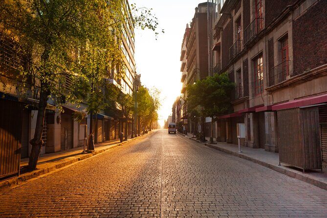 Mexico City Layover Tour: Downtown City Sightseeing - Who Would Love This Tour?