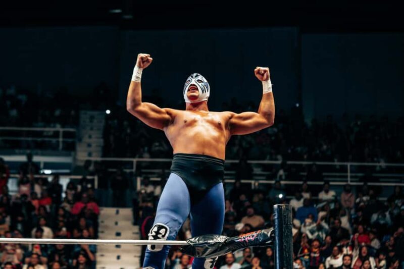 Mexico City: Lucha Libre, Mezcal, Tequila, and Live Show Tour - A Whirlwind of Mexican Culture and Excitement