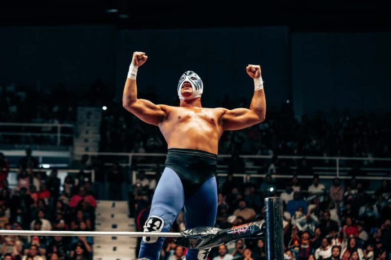 Mexico City: Lucha Libre, Mezcal, Tequila, and Live Show Tour - What to Expect From This Tour