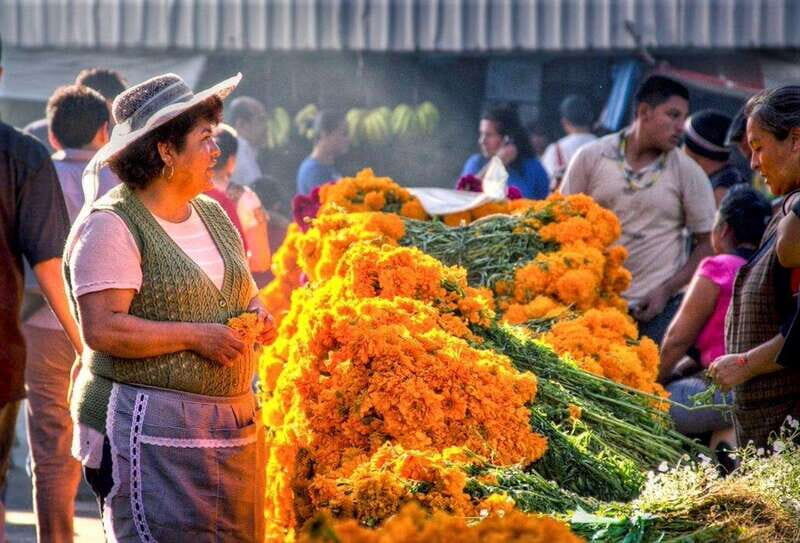 Mexico City Market Tour: Traditional Food and Murals - Key Points