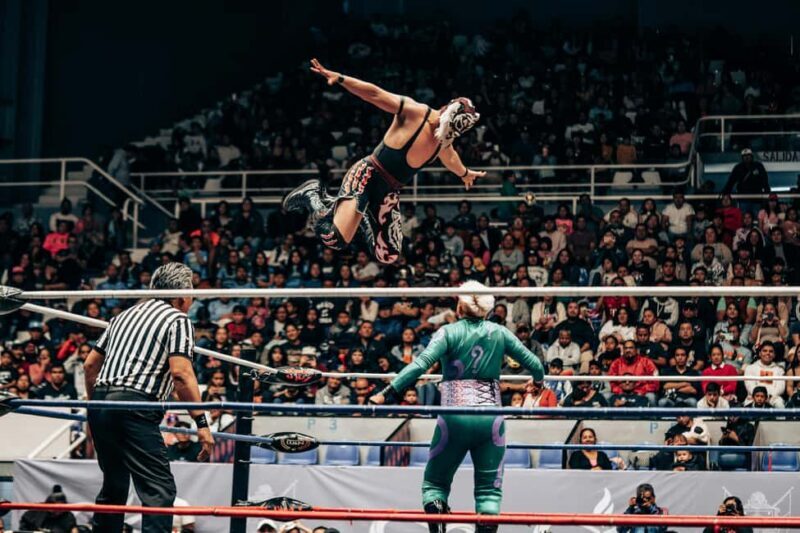 Mexico City: Mexican evening, lucha libre, and tequila - The Itinerary in Detail