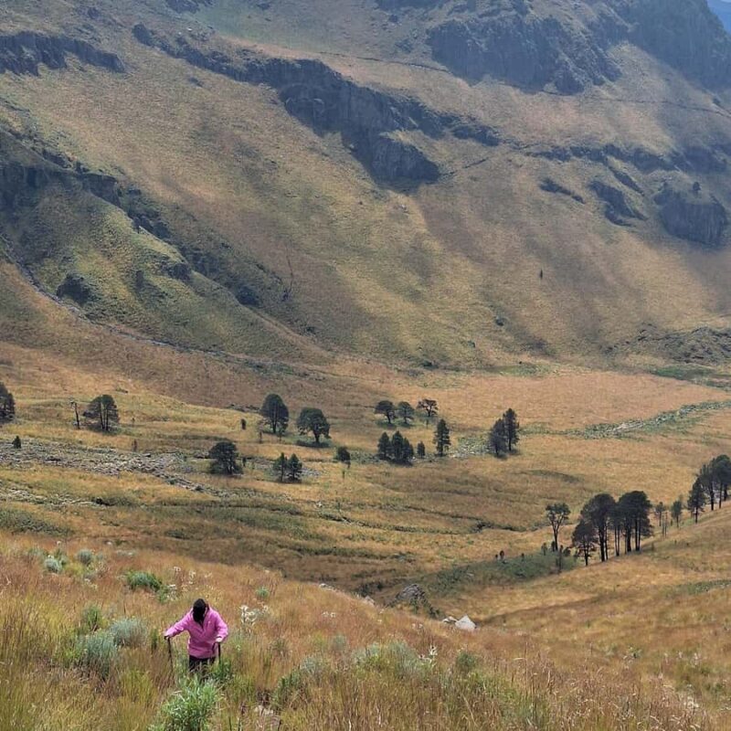 Mexico City: Mipulco Waterfalls Private Trekking Tour - Key Points