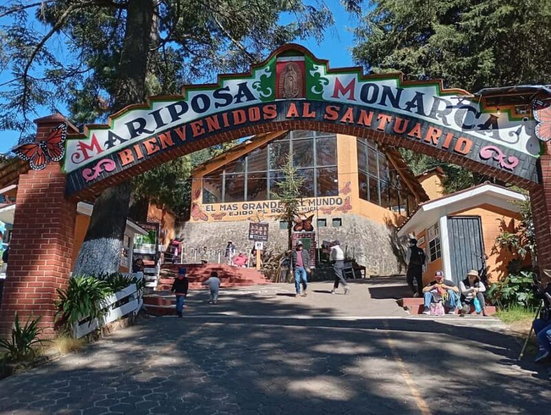 Mexico City: Monarch Butterfly Sanctuary Visit with Transfer - Final Thoughts