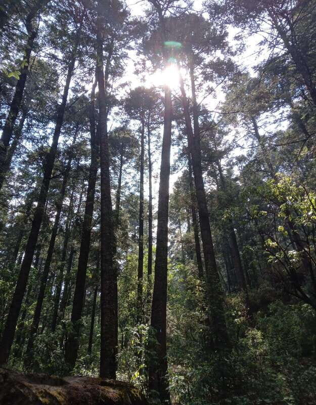 Mexico City: Morning Hiking at Mirador Coconetla - The Practicalities of the Tour