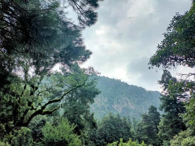 Mexico City: Morning Hiking at Mirador Coconetla - Authentic Experiences and Authentic Guides