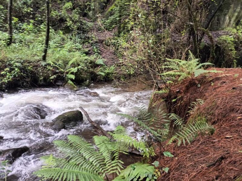 Mexico City: Morning Hiking at Mirador Coconetla - FAQ
