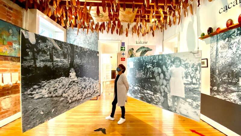 Mexico City: MUCHO Museum of Chocolate Entrance Ticket - Why You Should Visit the MUCHO Museum of Chocolate