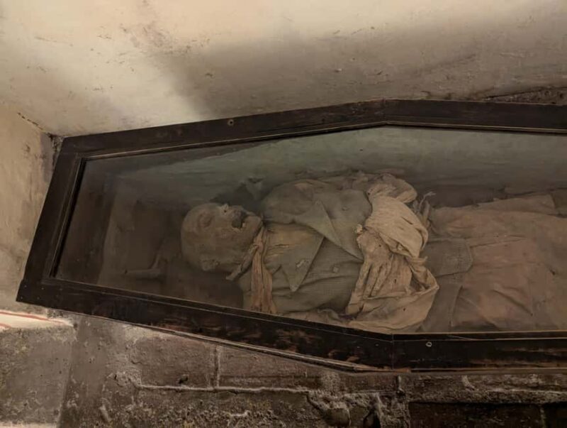 Mexico City: Museum of El Carmen Tour with Ticket - Practical Details You Need to Know