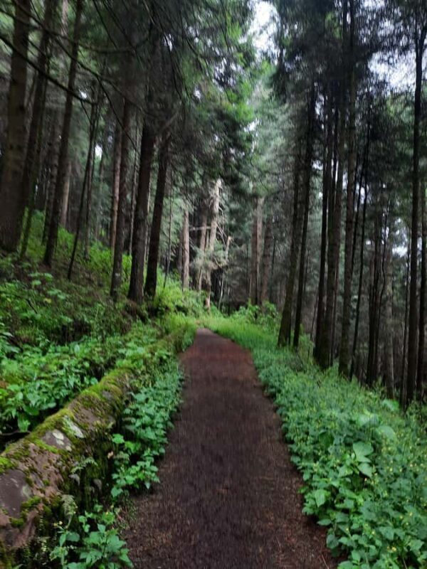 Mexico City: Nahualac Lagoon Private Hiking Tour - FAQ