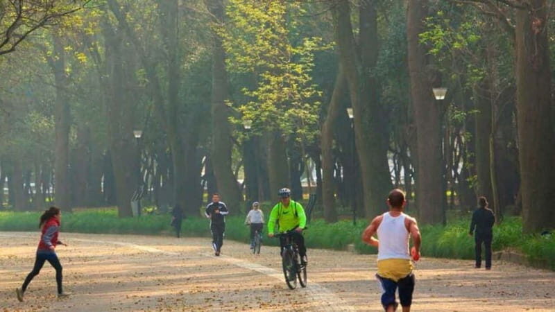 Mexico City: Private Chapultepec Park Bike Tour - Exploring Chapultepec Park by Bike: What You Can Expect