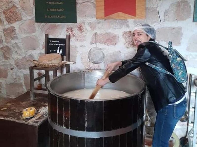 Mexico City: Private Cheese and Wine Tour to Queretaro - Who Should Consider This Tour?