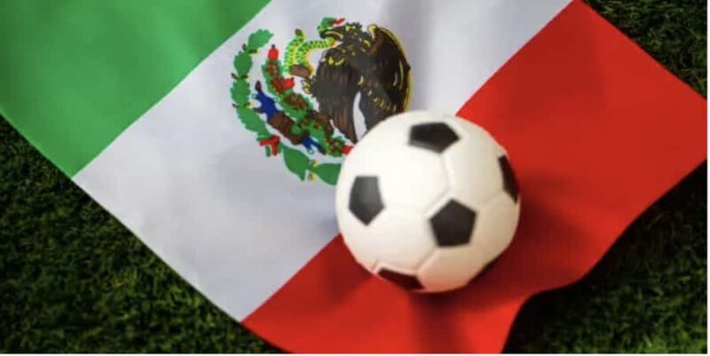 Mexico City Soccer Stadium Sightseeing & Street Food Tour - Who Will Love This Tour?