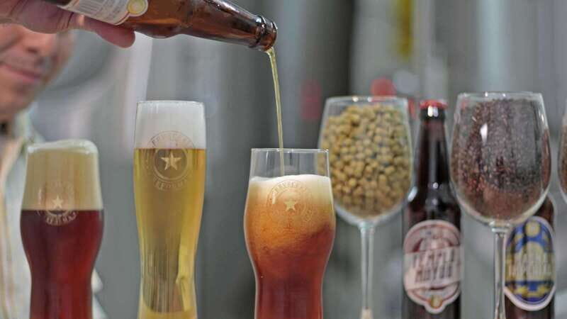 Mexico City Tasting Tour and Craft Beer Experience - The Practical Side: Transportation, Cost, and Group Size
