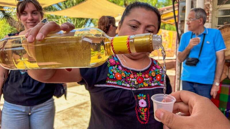 Mexico City: Teotihuacan, Tlatelolco & Guadalupe Shrine Tour - Authenticity and Personal Touches