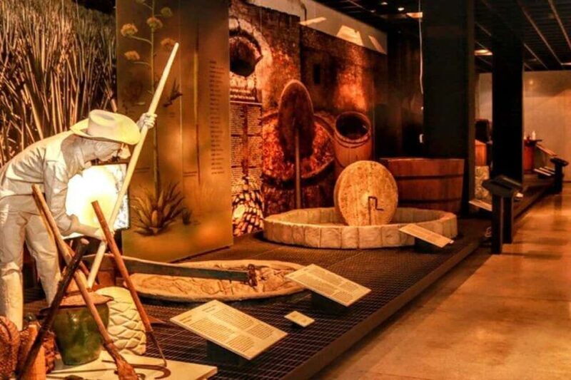 Mexico City: Tequila and Mezcal Museum Ticket with Tastings - Authenticity and Value