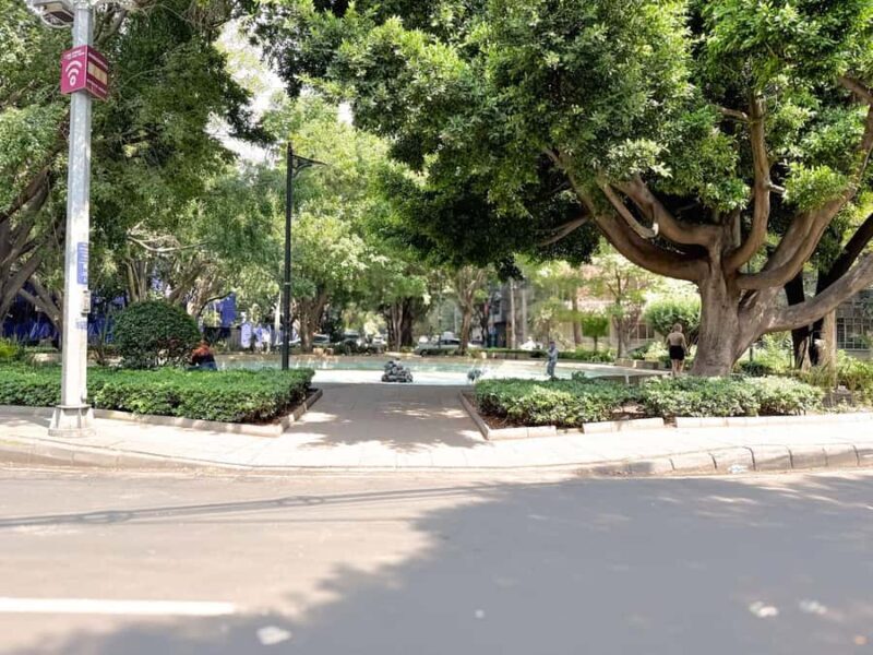 Mexico City: Tuk Tuk Tour from Condesa to Hipódromo - Authentic Neighborhoods & Unique Architecture