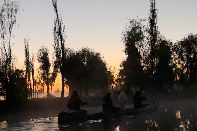 Mexico City: Xochimilco at sunrise + Breakfast and transportation - Practical Tips for Travelers