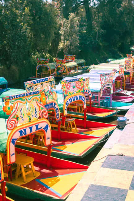 Mexico City: Xochimilco Boat with Guacamole & Premium Drinks - Who Will Enjoy This Tour?