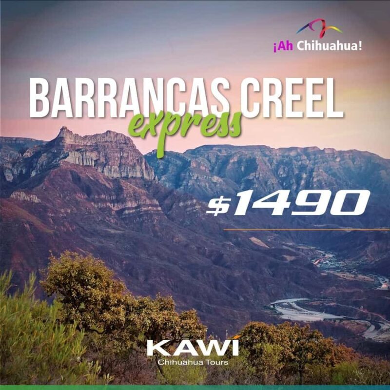 Mexico Copper Canyon: Excursion Barrancas Express - Who Will Love This Tour?