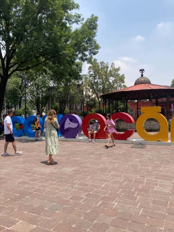Mexico: Coyoacan & Xochimilco:VW bus, Boat & Brunch - Family - Return Journey and Final Highlights