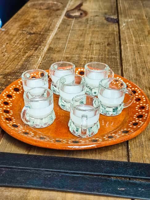 Mexico Off The Beaten Track/ Street Food Bike Tour - Whats Included & What Not