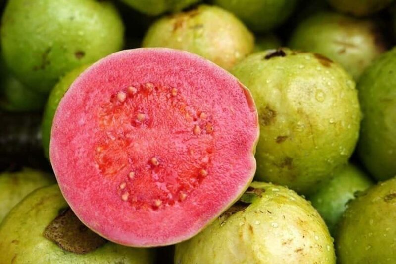 Mexico's Tropical Fruit Guided Tasting in Mexico City - Final Thoughts: Who Will Love This Experience?