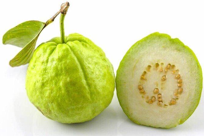 Mexico's Tropical Fruit Guided Tasting in Mexico City - FAQ