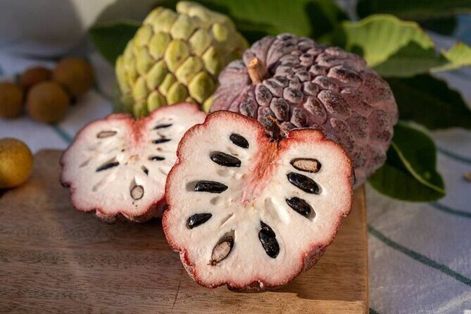 Mexico's Tropical Fruit Guided Tasting in Monterrey - Final Thoughts