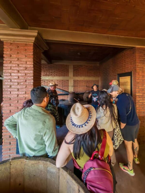 Mezcal, Agave, and Pulque Tour in Oaxaca - Starting Point and Transportation