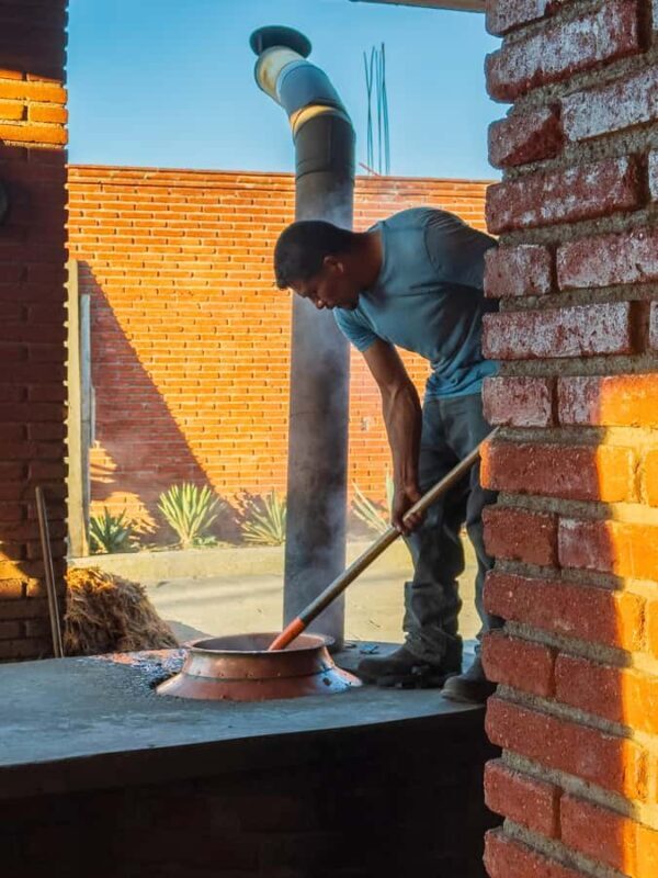 Mezcal, Agave, and Pulque Tour in Oaxaca - Exploring Pulque and Local Drinks