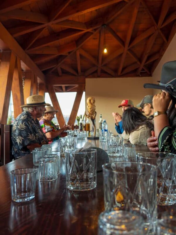 Mezcal, Agave, and Pulque Tour in Oaxaca - What Travelers Say