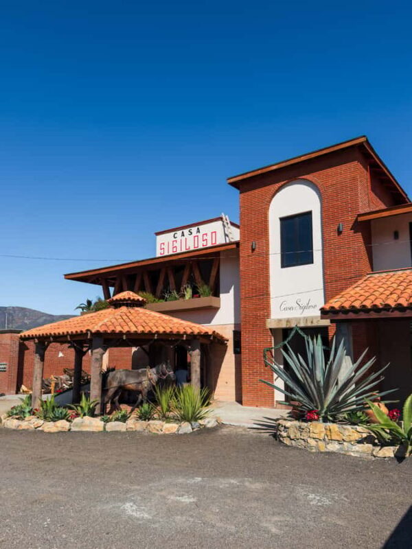 Mezcal, Agave, and Pulque Tour in Oaxaca - Who Should Consider This Tour?