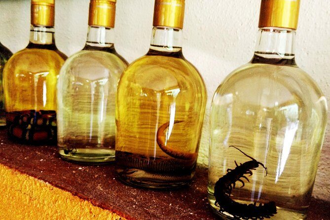Mezcal Factory Tasting Learning Experience Drink Lunch and More - Who Should Consider This Tour?