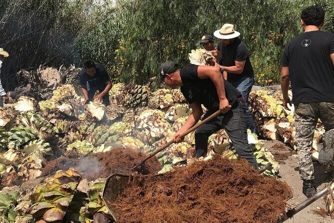 Mezcal Tour Oaxaca - Who Will Love This Tour?