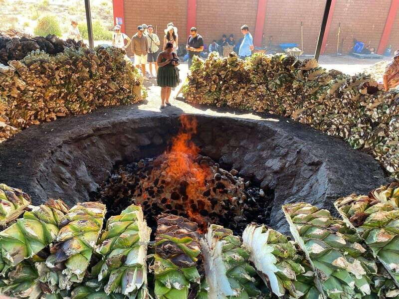 Mezcal Tour Oaxaca - A Deep Dive into the Mezcal Tour Oaxaca Experience