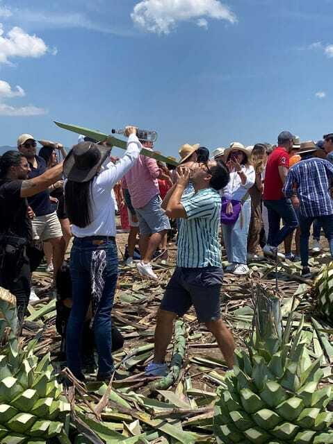Mezcal Tour Oaxaca - FAQ