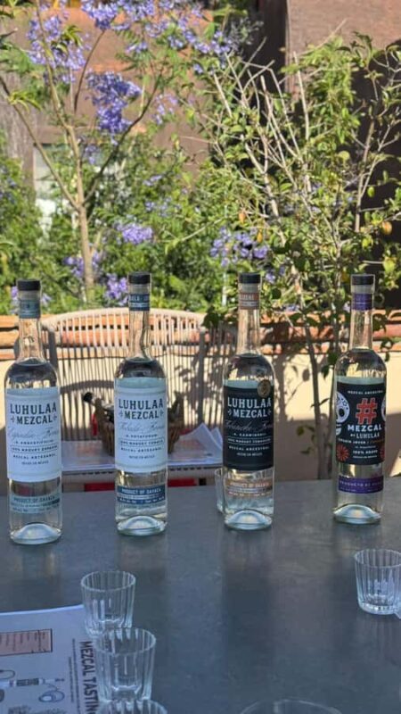 Mezcales tradicionales: Experiencia de Sabores con Historia - The Value of This Experience