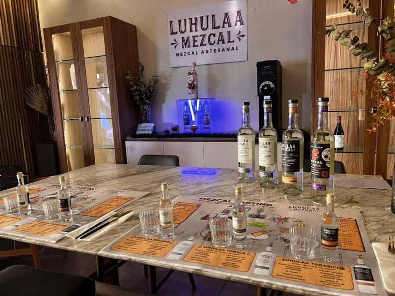 Mezcales tradicionales: Experiencia de Sabores con Historia - Why This Experience Is Worth Considering