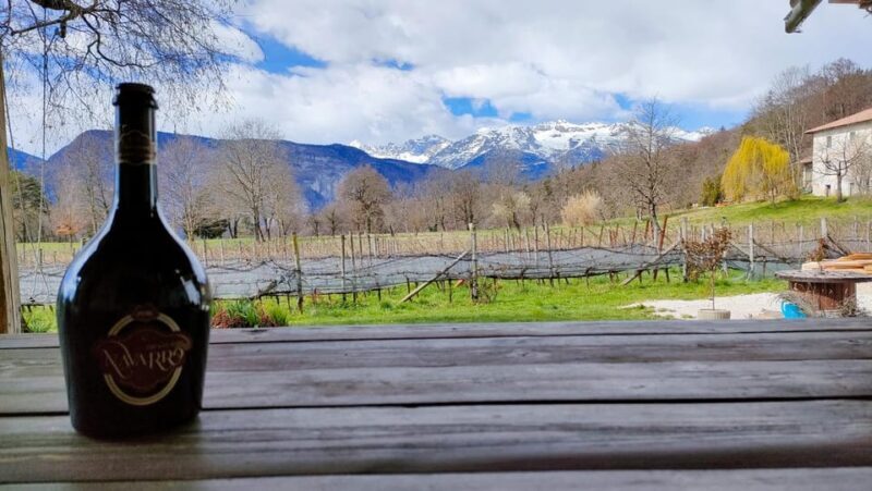 Mezzocorona: Scenic vineyard visit on Mount, tasting 3 wines - Starting Point and Journey Upward