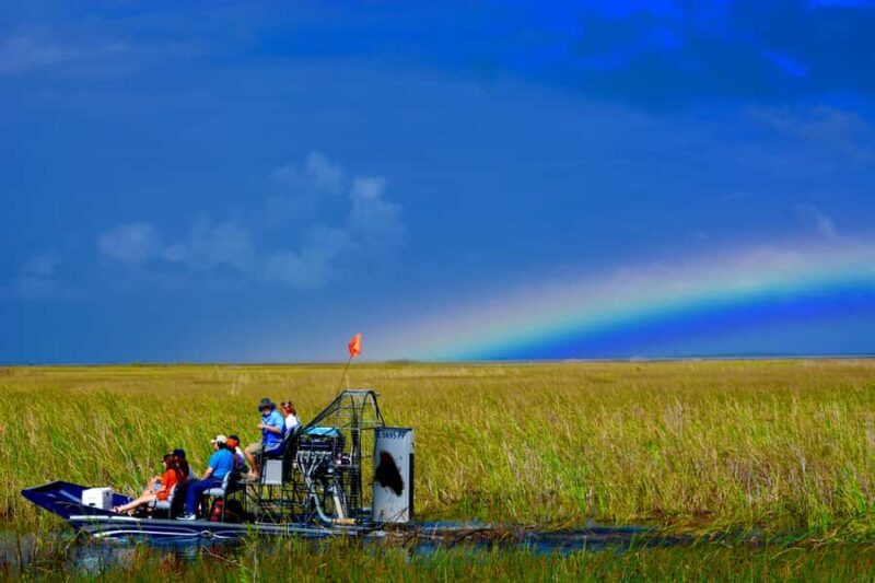 Miami: 1 Hour Everglades River of Grass Small Airboat Tour - Key Points