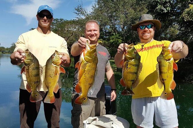 Miami Airport Lakes Peacock Bass Fishing Trip (1 to 4 ppl) - An Overview of the Experience
