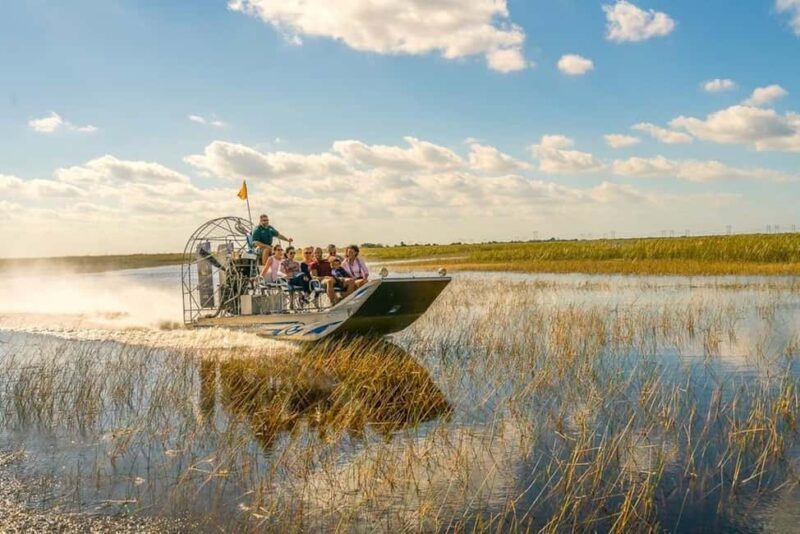 Miami: Alligator Spotting Airboat and Wildlife Reserve - The Sum Up