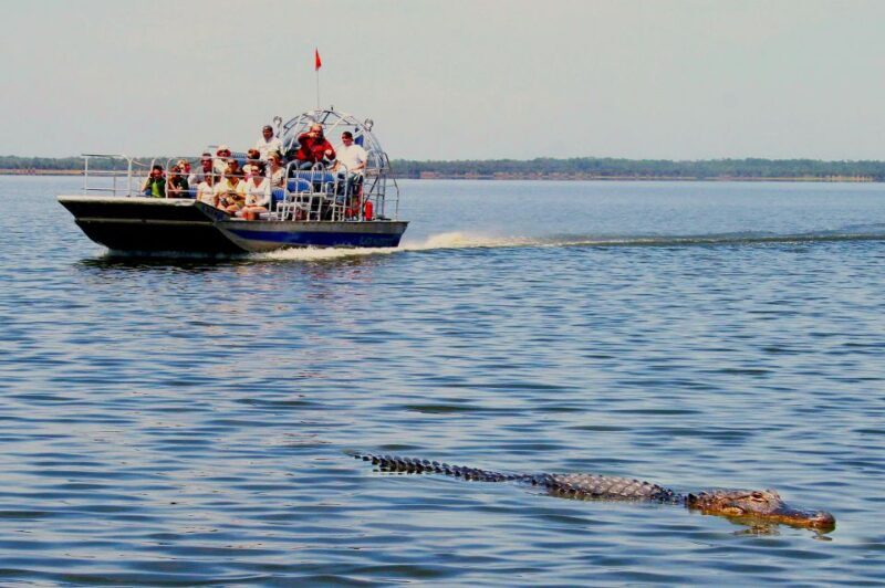 Miami: Alligator Spotting Airboat with Pick-Up/Drop-off - FAQ