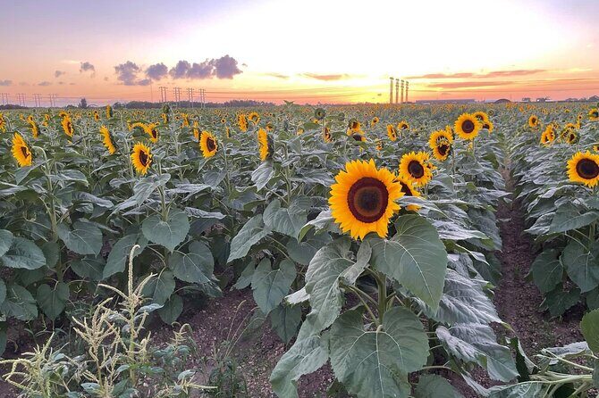 Miami ATV & Buggy Adventure- 5 Star Rated - Final Thoughts: Is It Worth It?