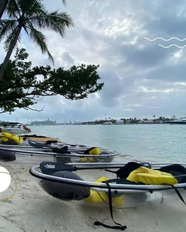 Miami Beach: Clear Kayak Tour or LED Glow Kayak Experience - Exploring the Experience in Detail
