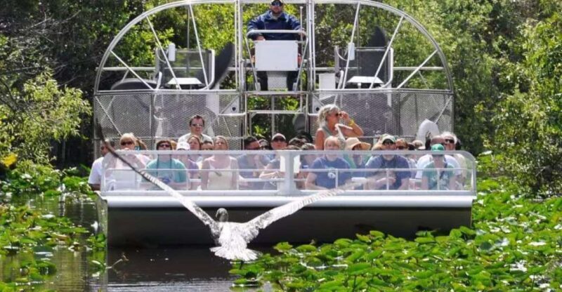 Miami Beach: Everglades Airboat Tours and Rides - Final Thoughts