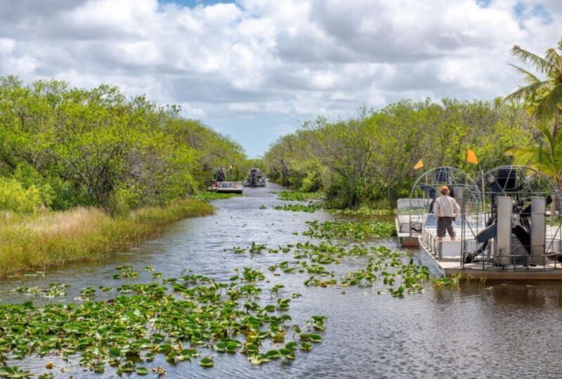 Miami Beach: Everglades Airboat Tours and Rides - What Travelers Are Saying