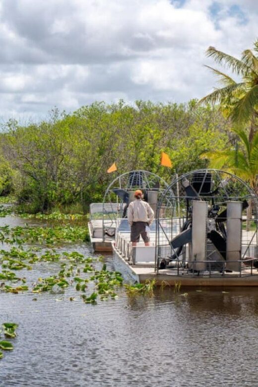 Miami Beach: Everglades Airboat Tours and Rides - Final Thoughts: Who’s This Tour For?
